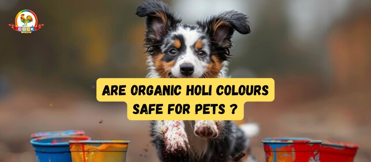 Are Organic Holi Colours Safe for Pets? | Pet-Friendly Holi Tips