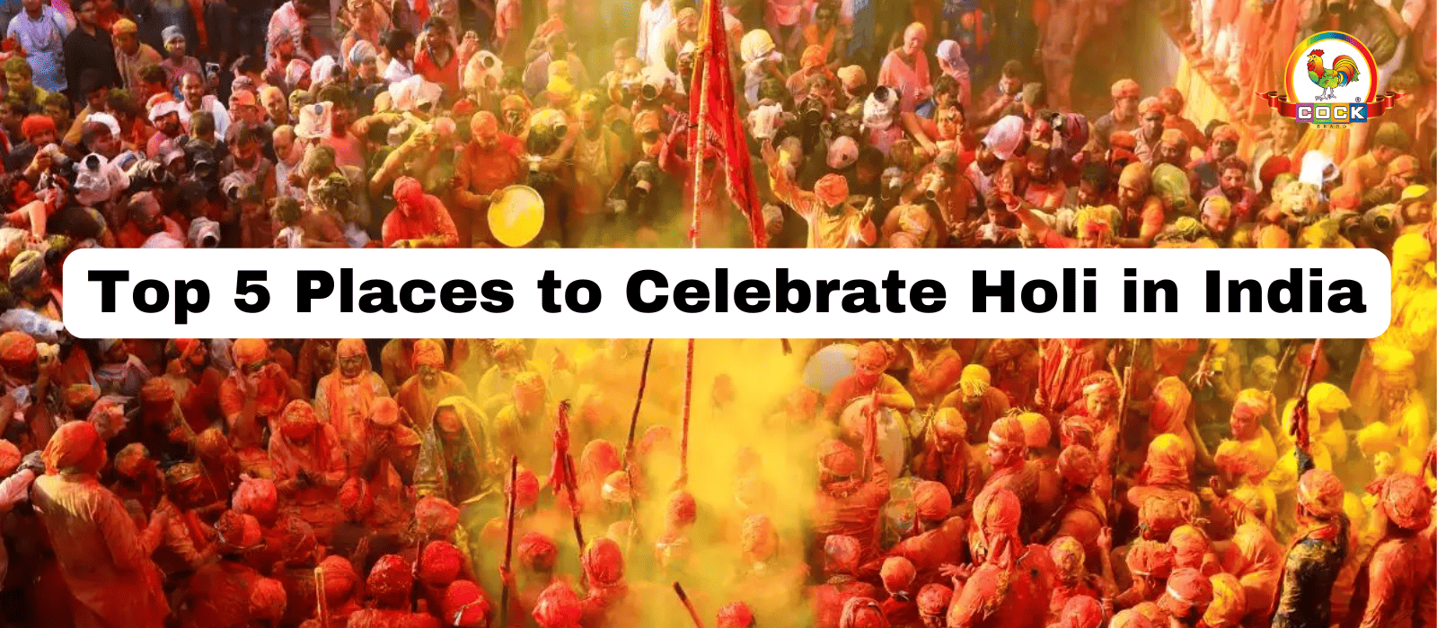 Top 5 Places to Celebrate Holi in India | Best Holi Destinations